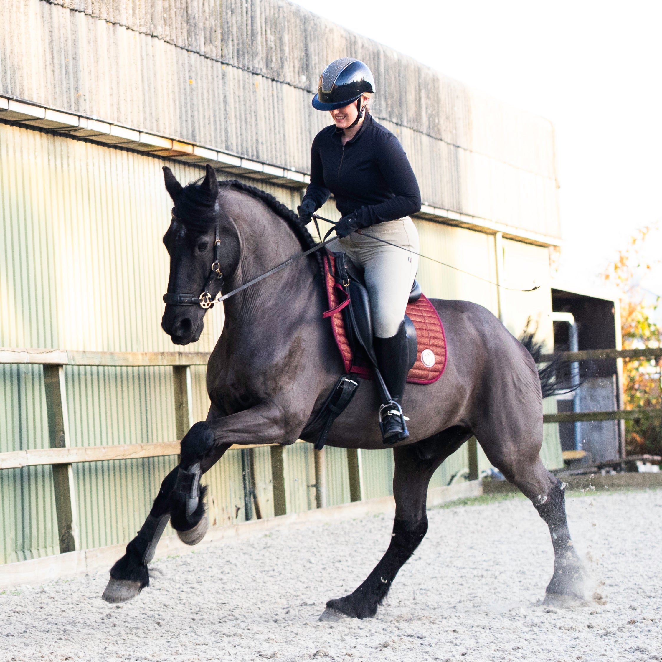 Bitless bridles allowed in competitions (in The Netherlands)