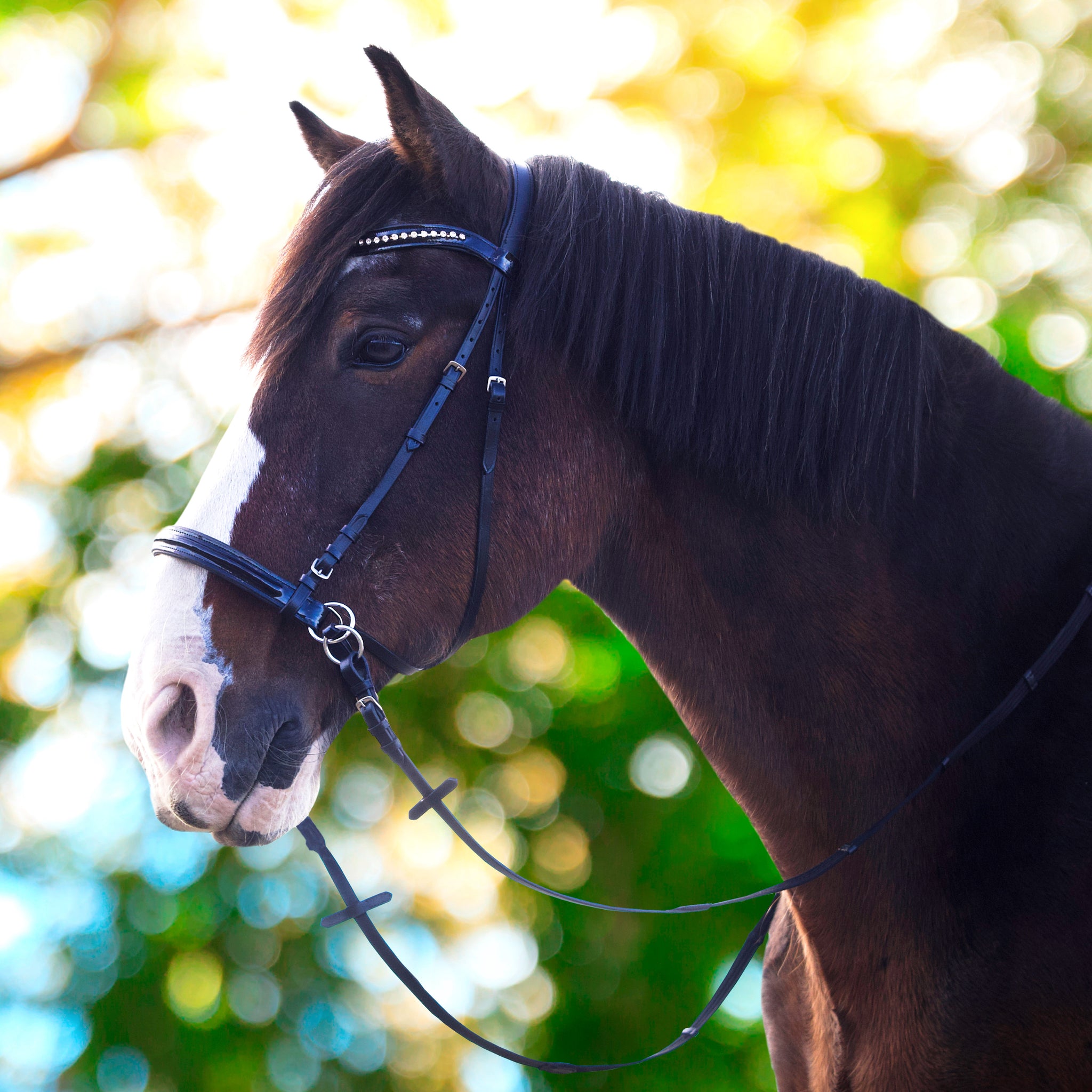 Blossom cheek cross - Comfortable Bitless Dressage Bridle