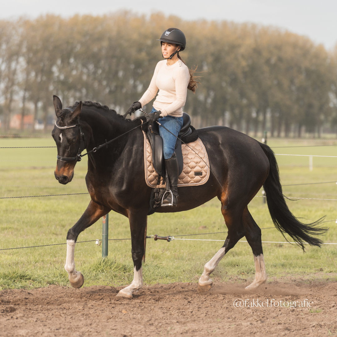 Blossom cheek cross - Comfortable Bitless Dressage Bridle