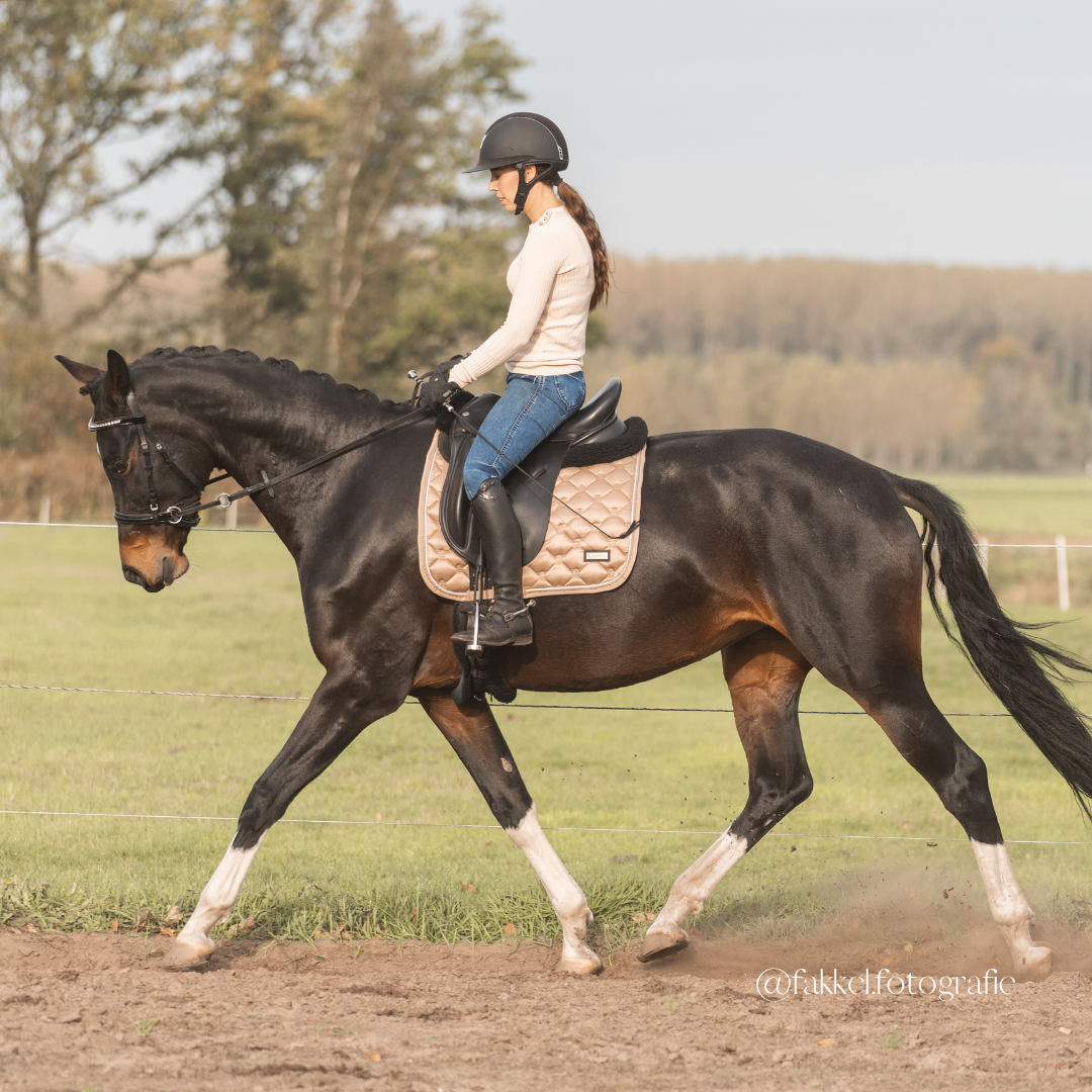 Blossom cheek cross - Comfortable Bitless Dressage Bridle